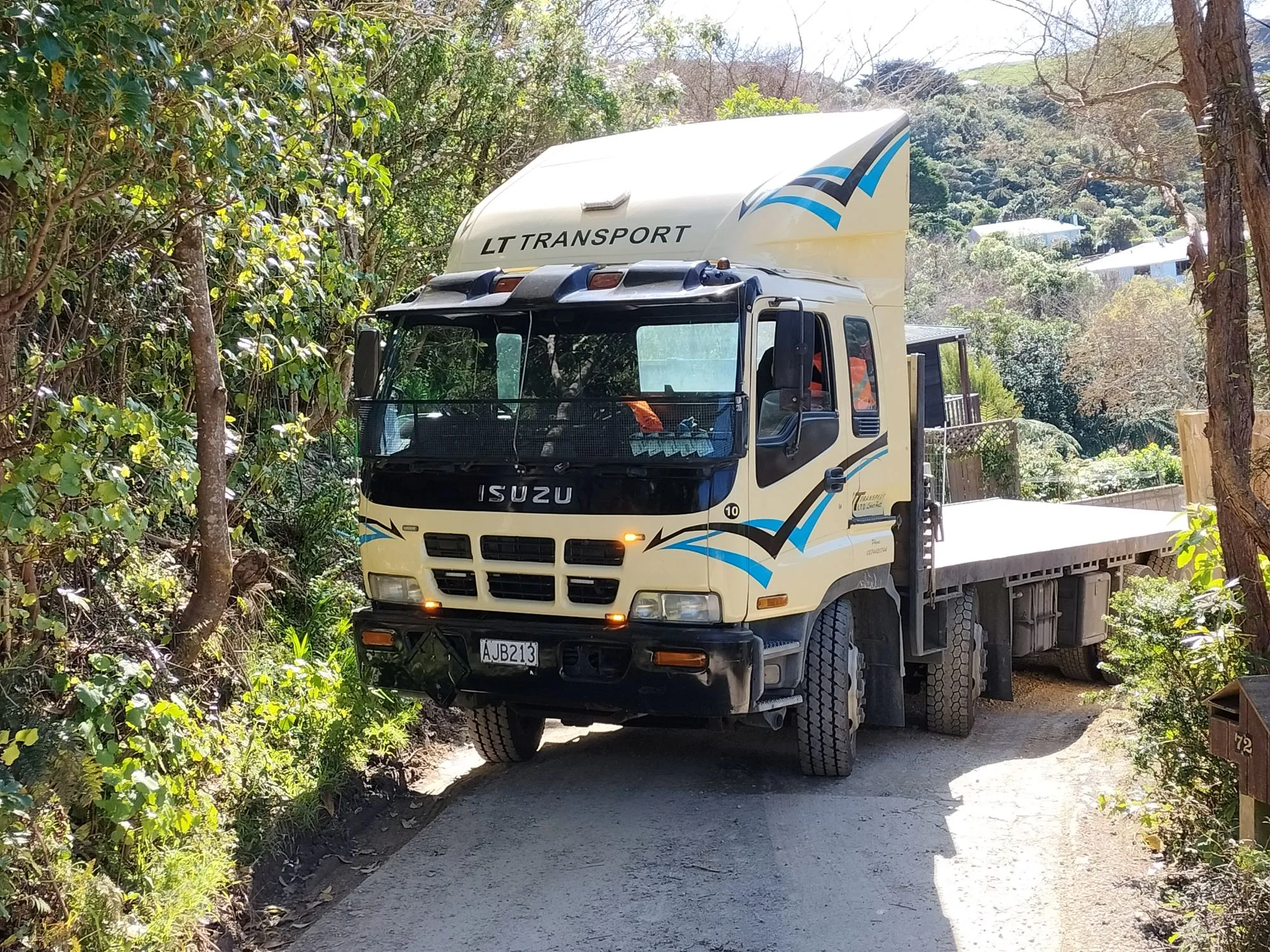 Wellington's transportation and crane specialists