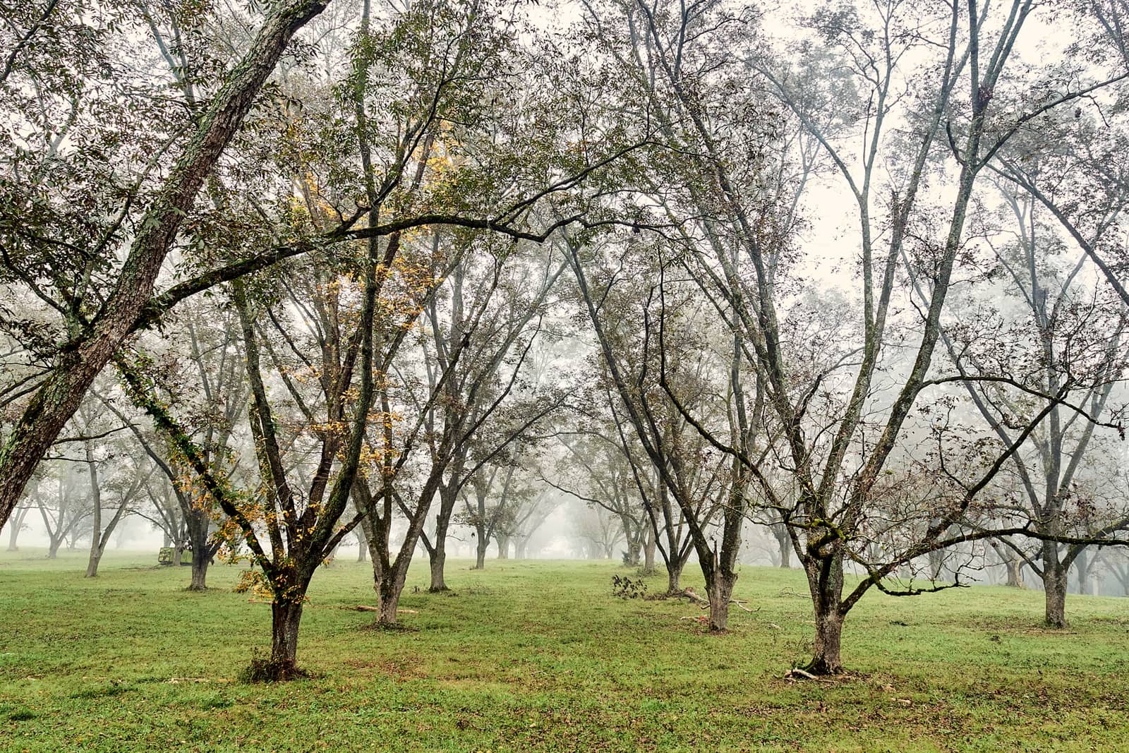 The World of Quercus | Luxury resort and guest ranch | Georgia