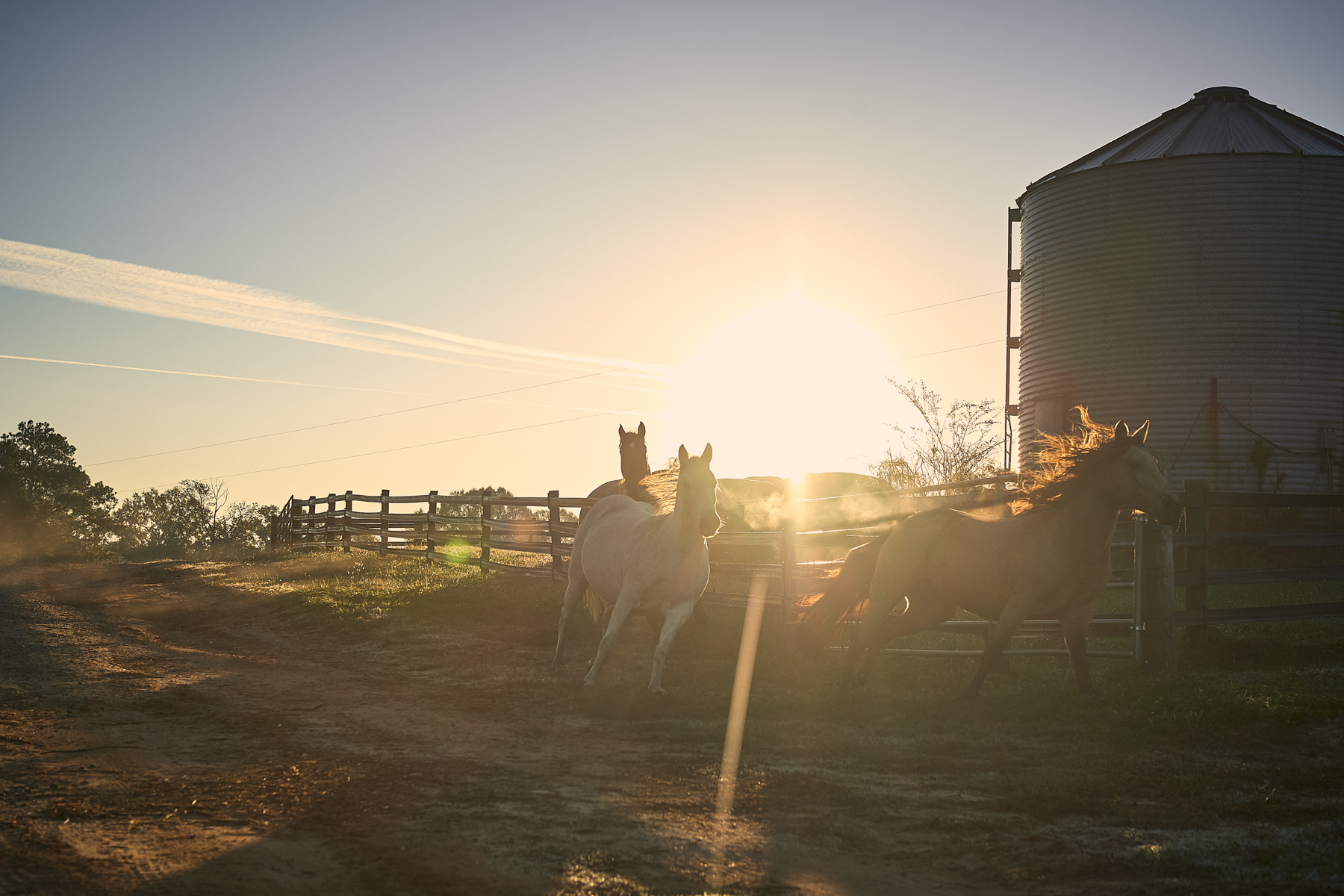 The World of Quercus | Luxury resort and guest ranch | Georgia