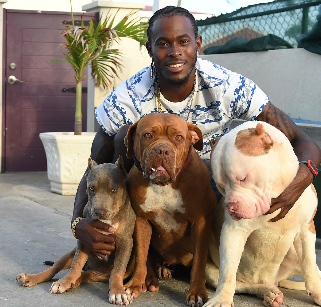 How six dogs kept Jofra Archer going through rehab - The Athlete's ...