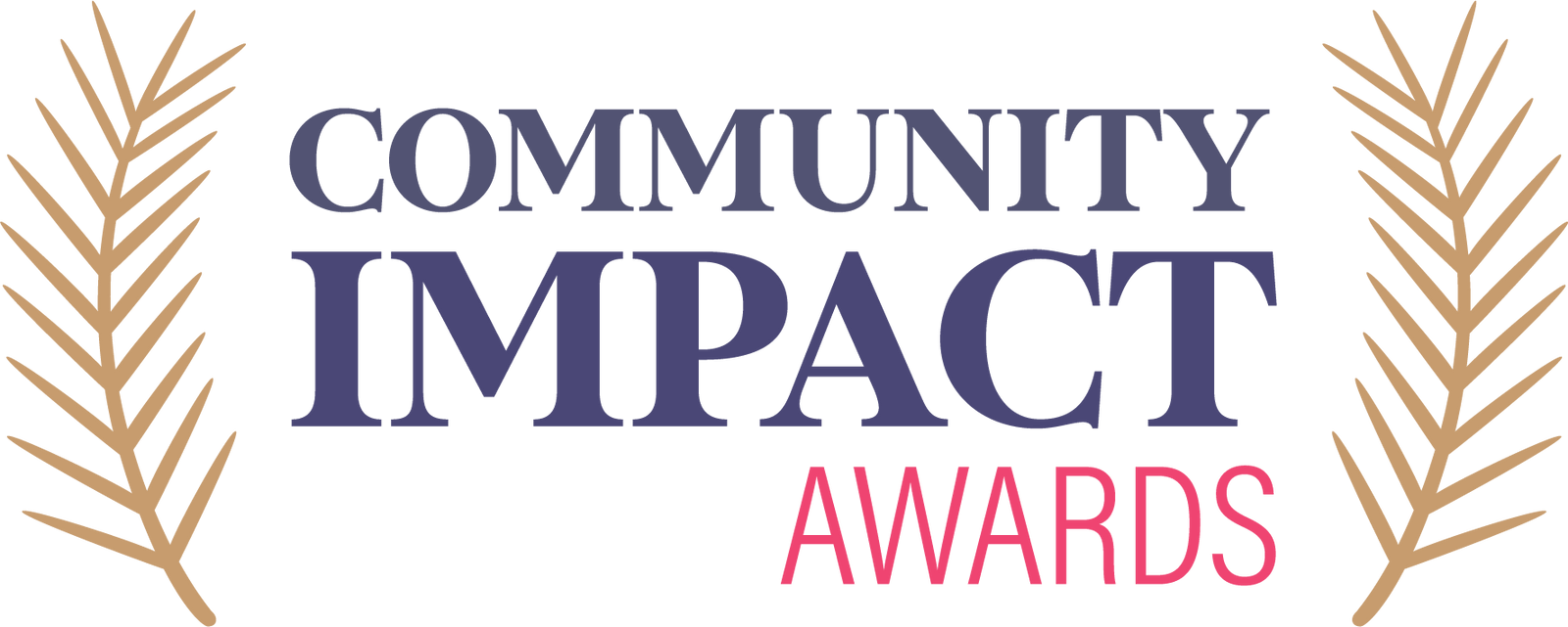 Community Impact Awards - Recognizing Neighborhood Non-Profits