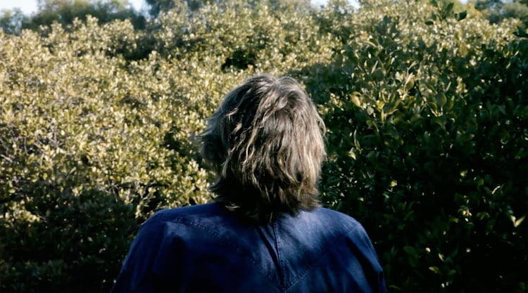 Feeling Towards the Future by Bernadette Klavins – Issue 5 for fine ...