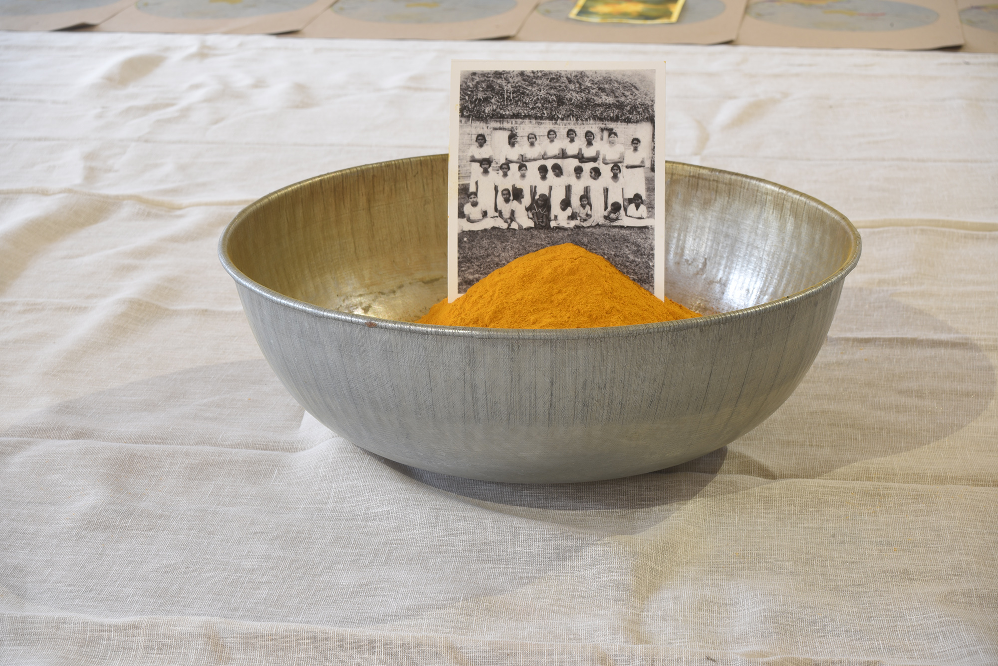 Soil stories by Marlaina Read – Issue 19 for fine print Magazine