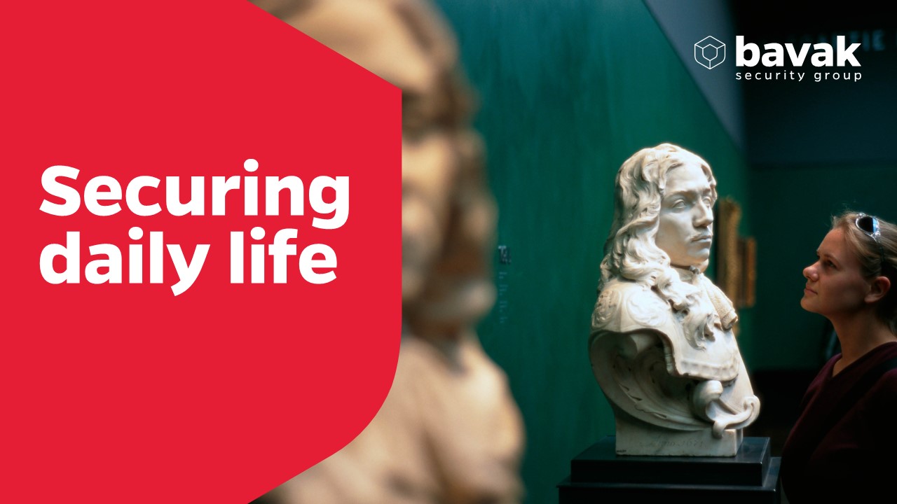 Security Solutions | Bavak US