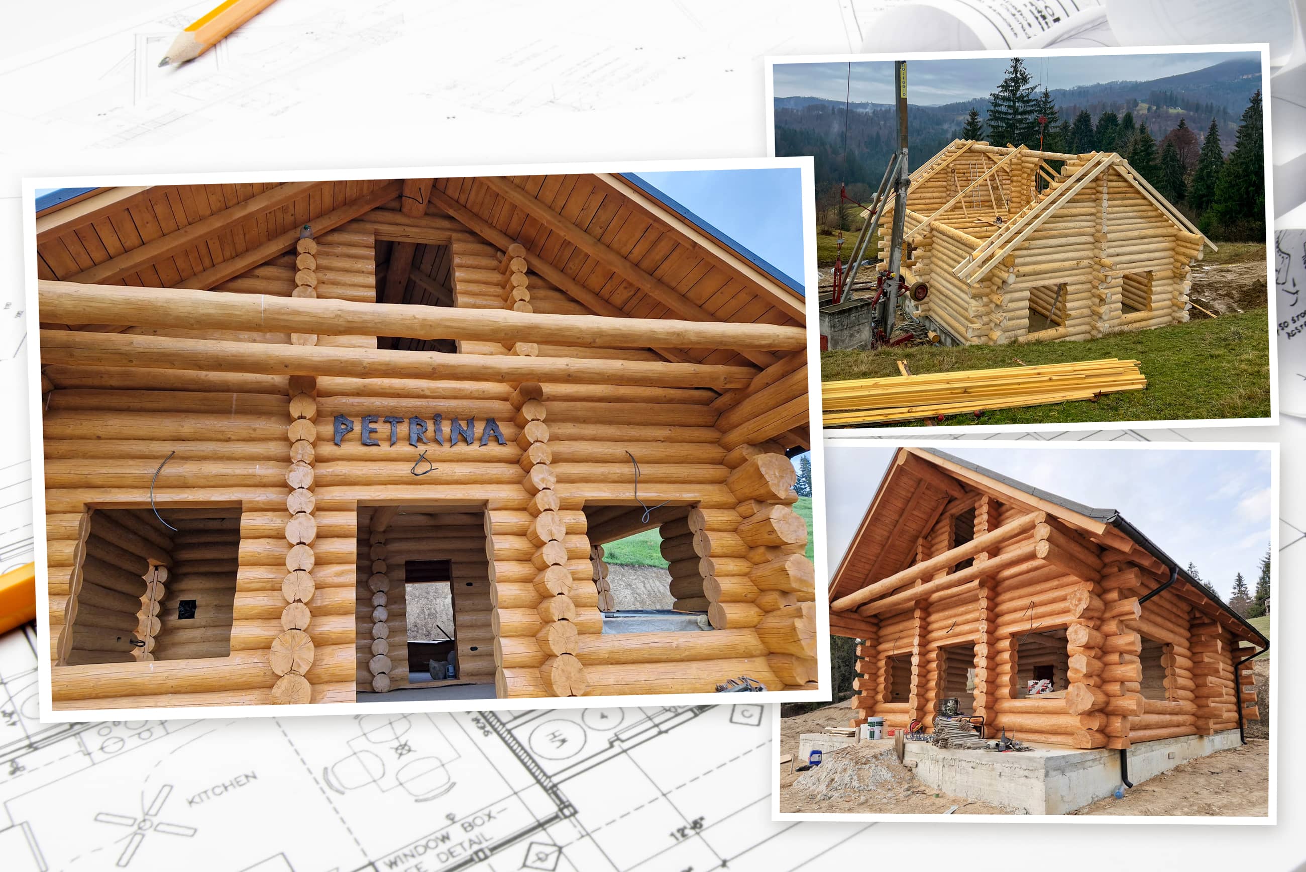 Round Log House Bucovina