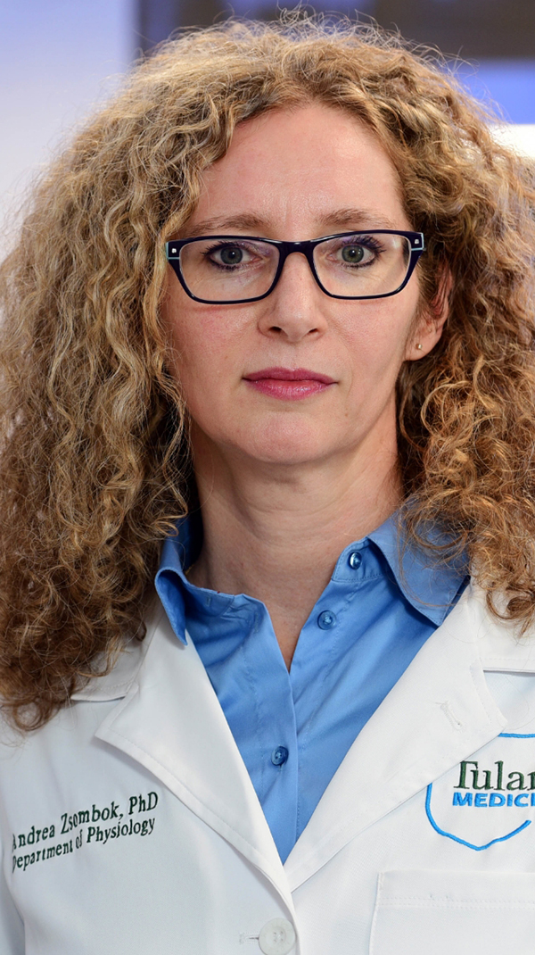 Home - The Estrogens, Cardiometabolic Health, and Female Cognitive ...