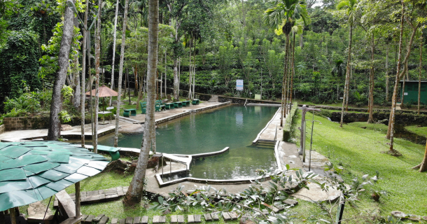 Natural Pool
