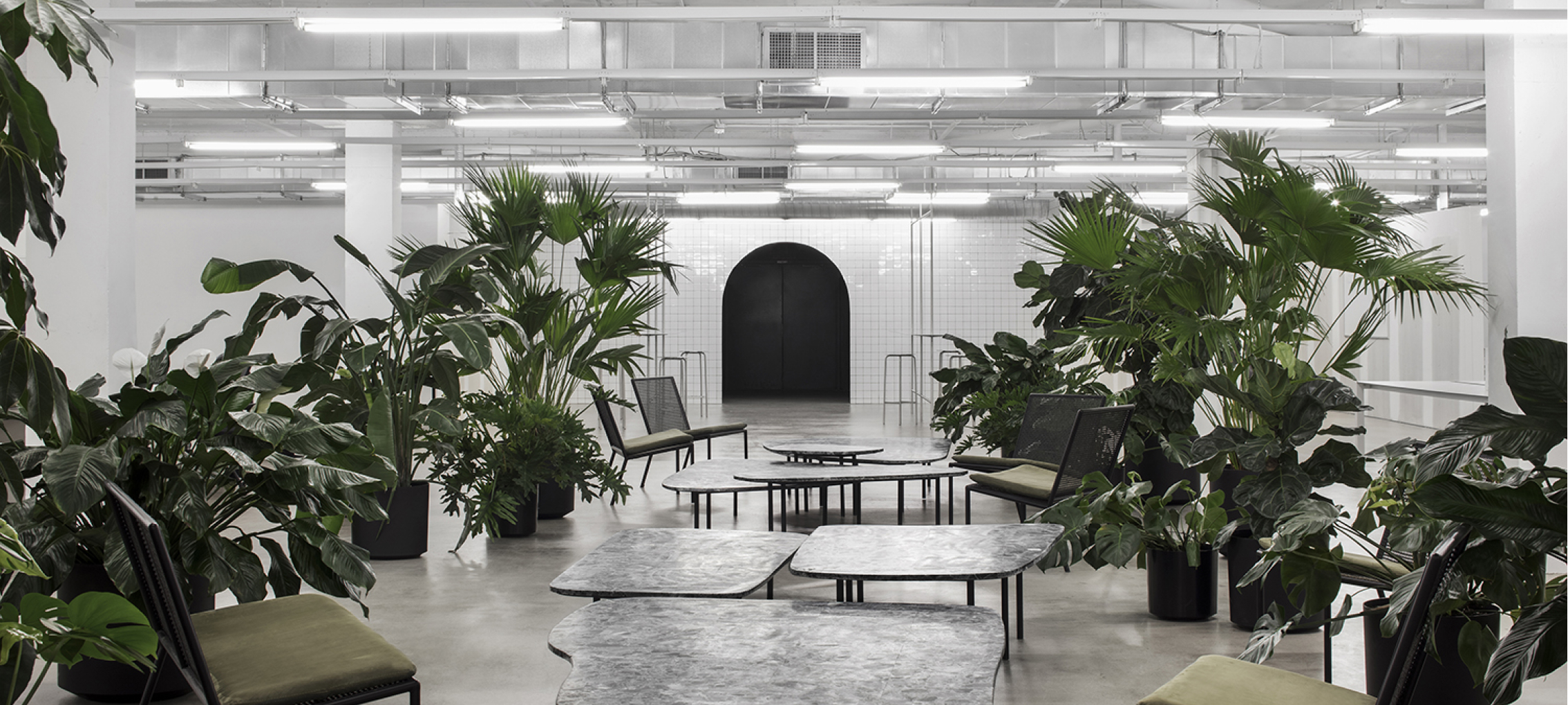 Grocery, Food & Beverage Agency & Consulting Firm | G & Co.