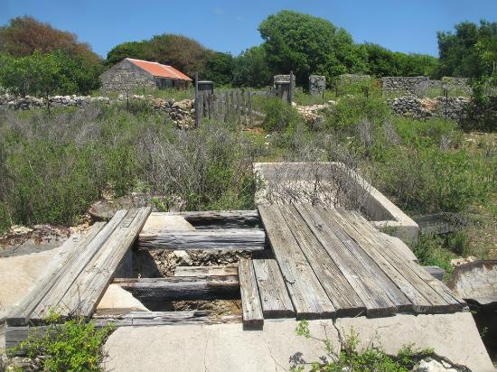 Learn about Tintamarre Island in St. Martin & St. Maarten