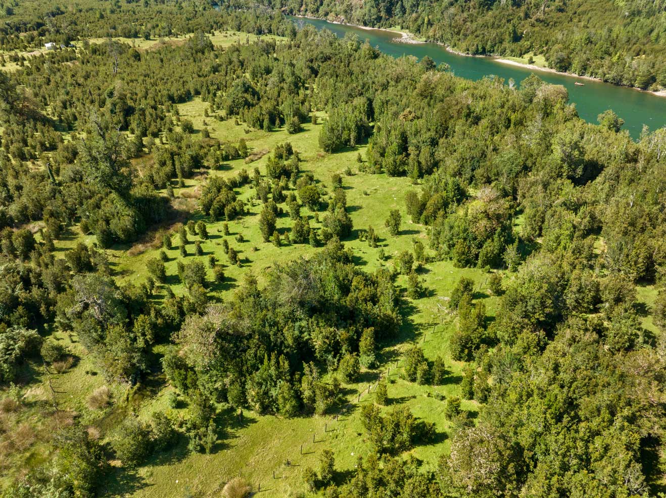 Ribera Río Cisnes: terrenos exclusivos en la Región de Aysén