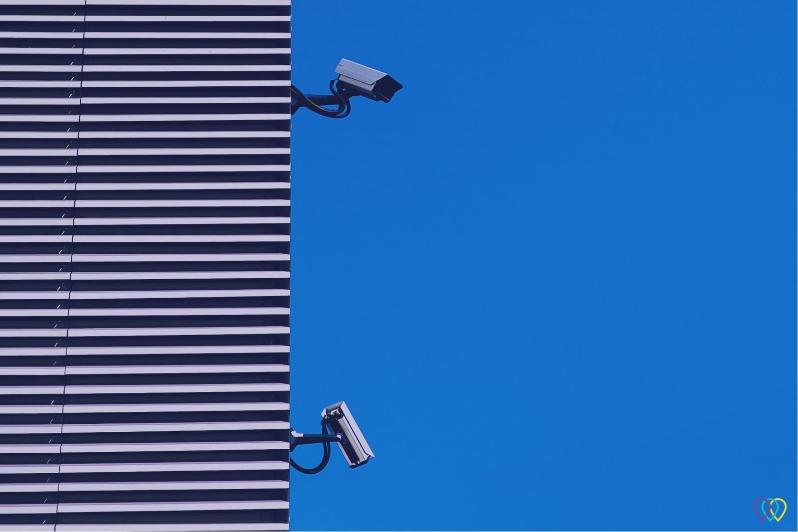 5 Tips for Creating a Visual Survey (Examples Inside)