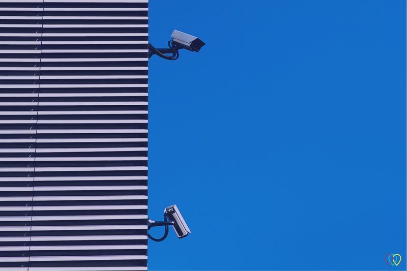 5 Tips for Creating a Visual Survey (Examples Inside)