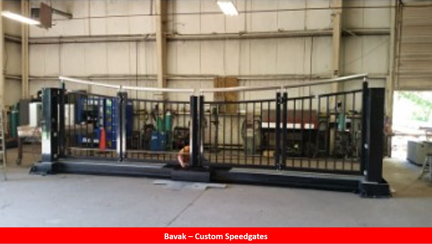 Security Solutions | Bavak US