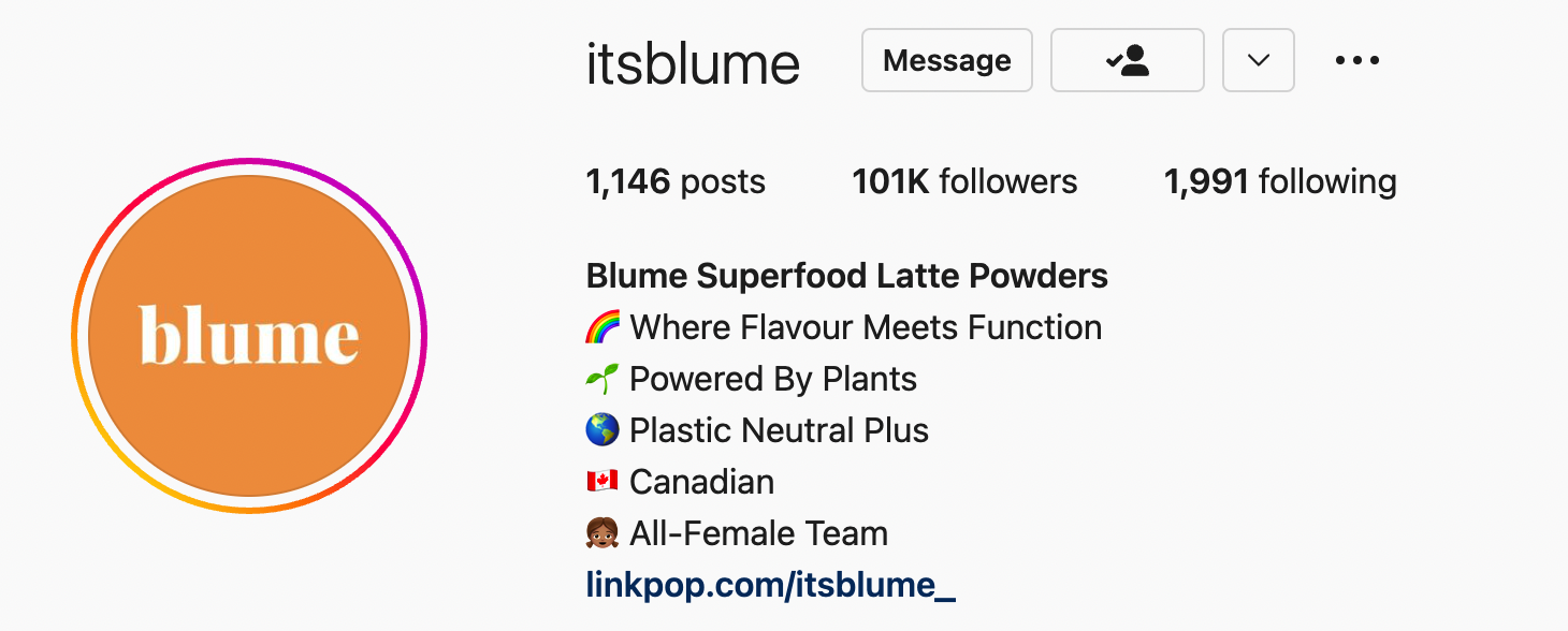 How to Write The Perfect Instagram Bio (With Examples)