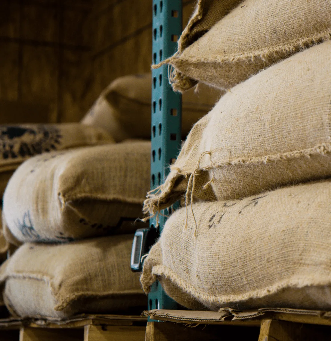Our Business | Shine Agro: Your B2B Partner