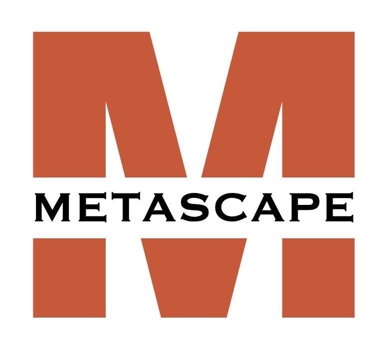 Home: Data Virtualization using Neural Networks