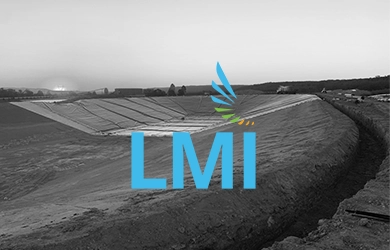 LMI Group Portfolio l Living Lines Agency