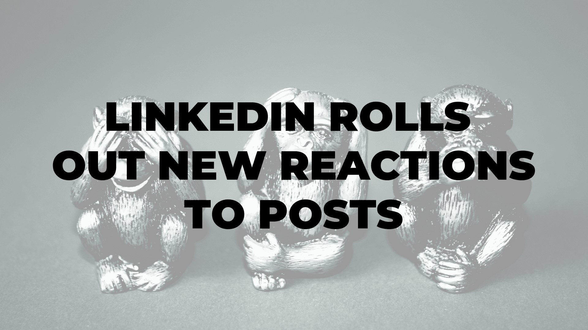 LinkedIn Rolls Out New Reactions to Posts - Startech X - Webflow ...