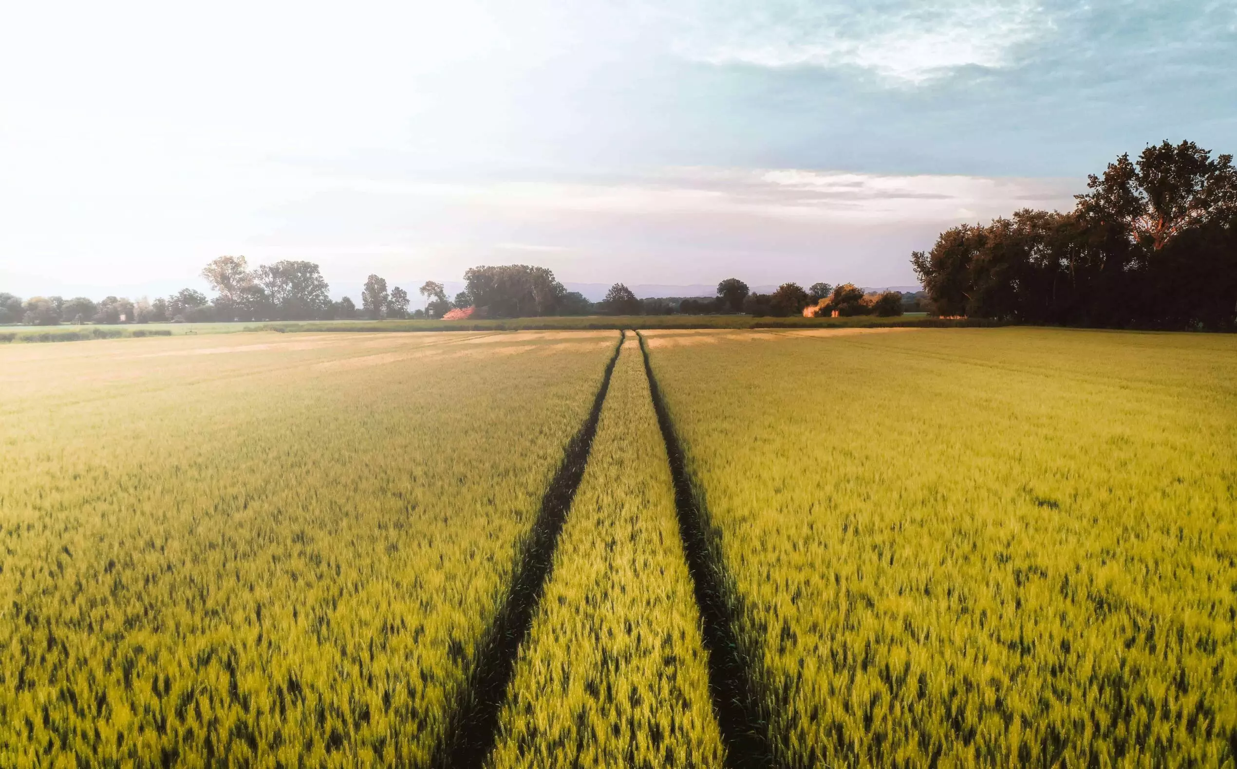 Avec Planet First, les familles d'AB InBev flaireront les champions du ...