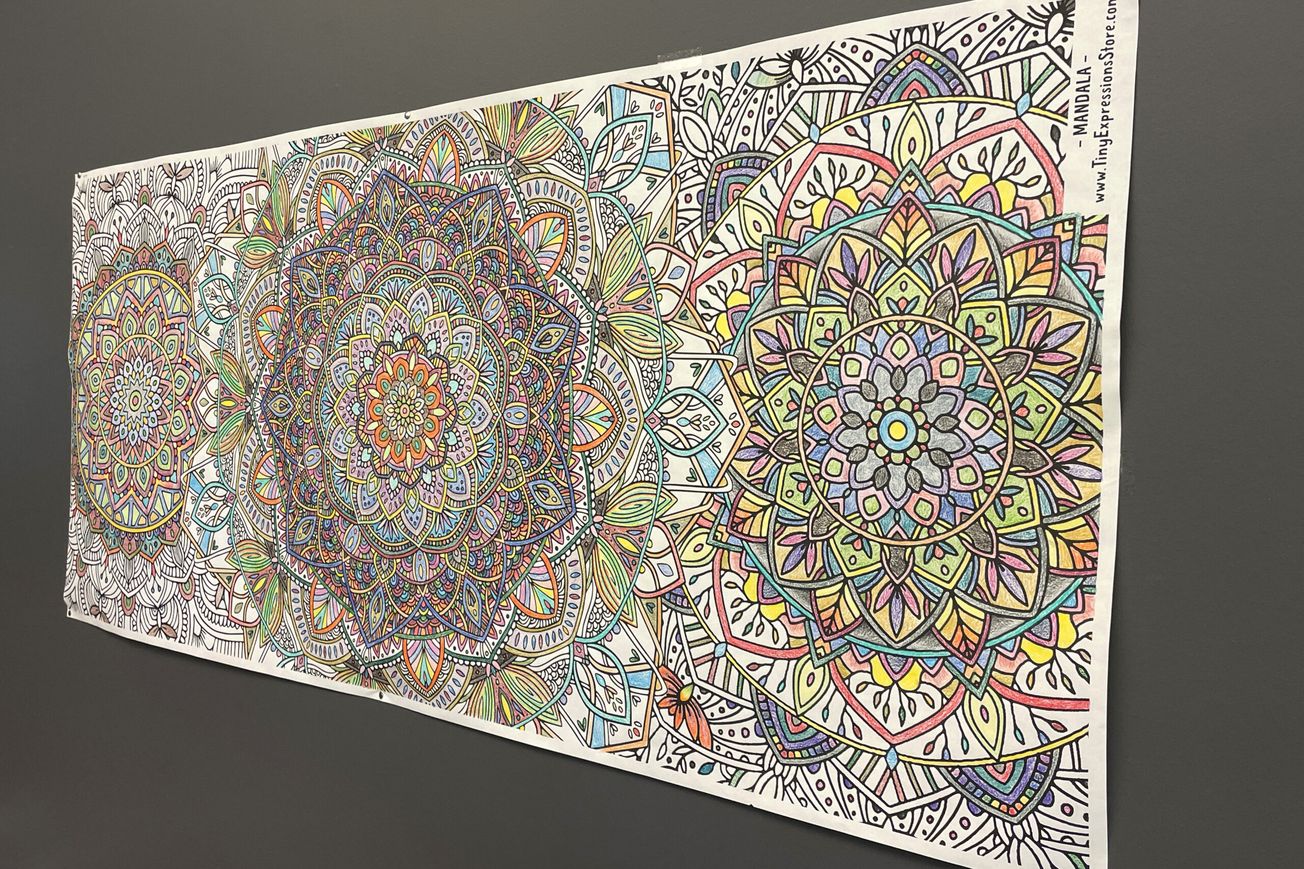 Given and Associates | Office-Wide Mandala Coloring