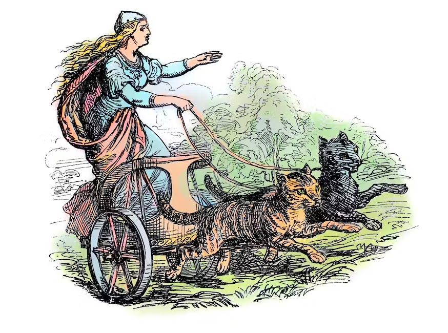 The history of Hogne AB