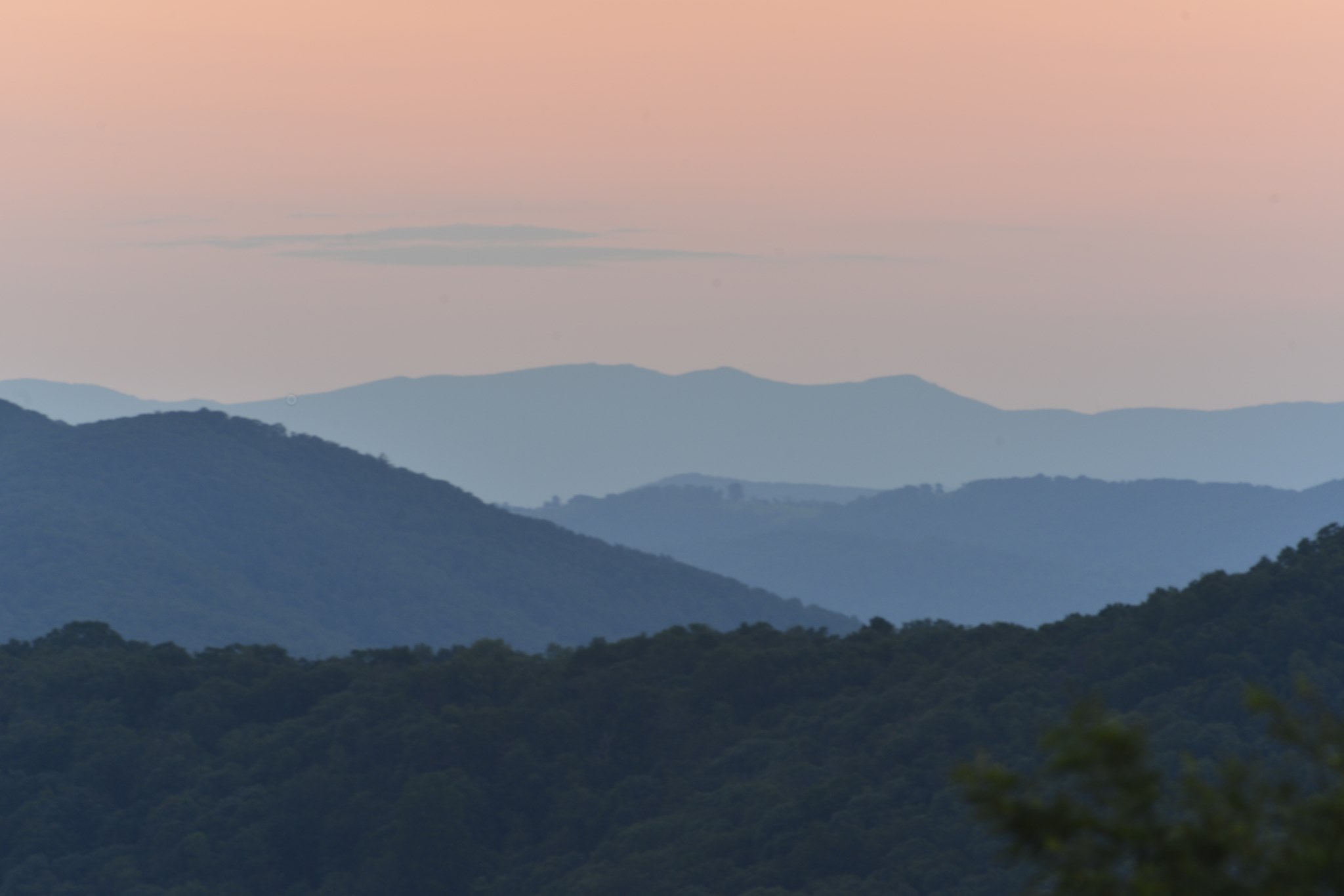 Beating Back the Brush Blog Post | Runaway Ridge