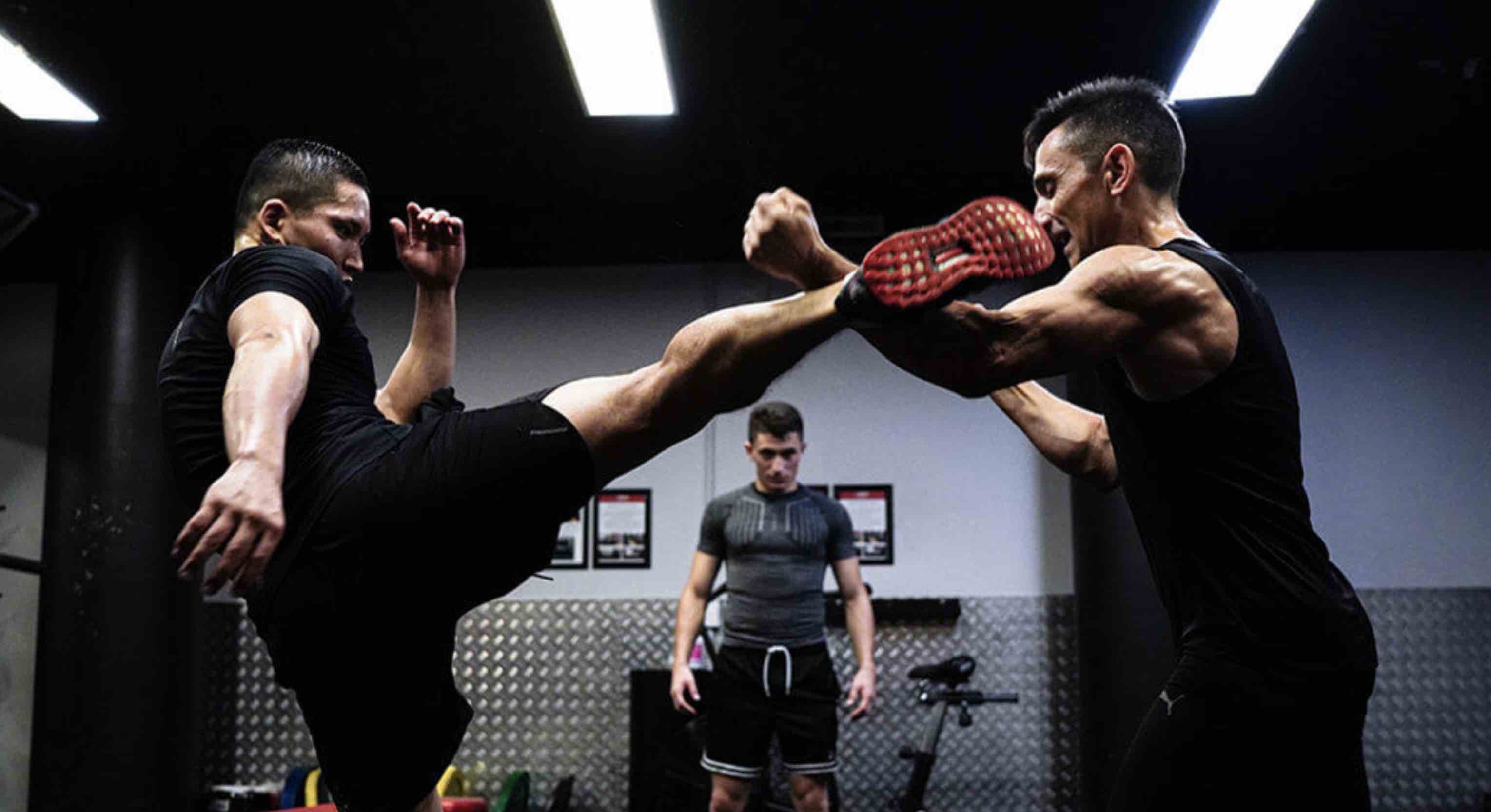 TS Boxing - Boxing gym in Burwood, Inner West Sydney