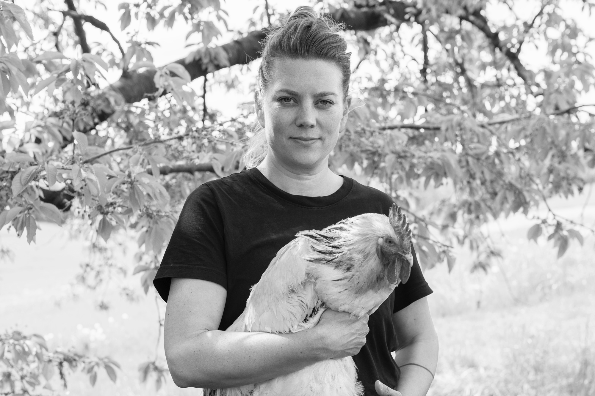 Huhn + Hahn | Kochen mit Zweinutzungshühnern