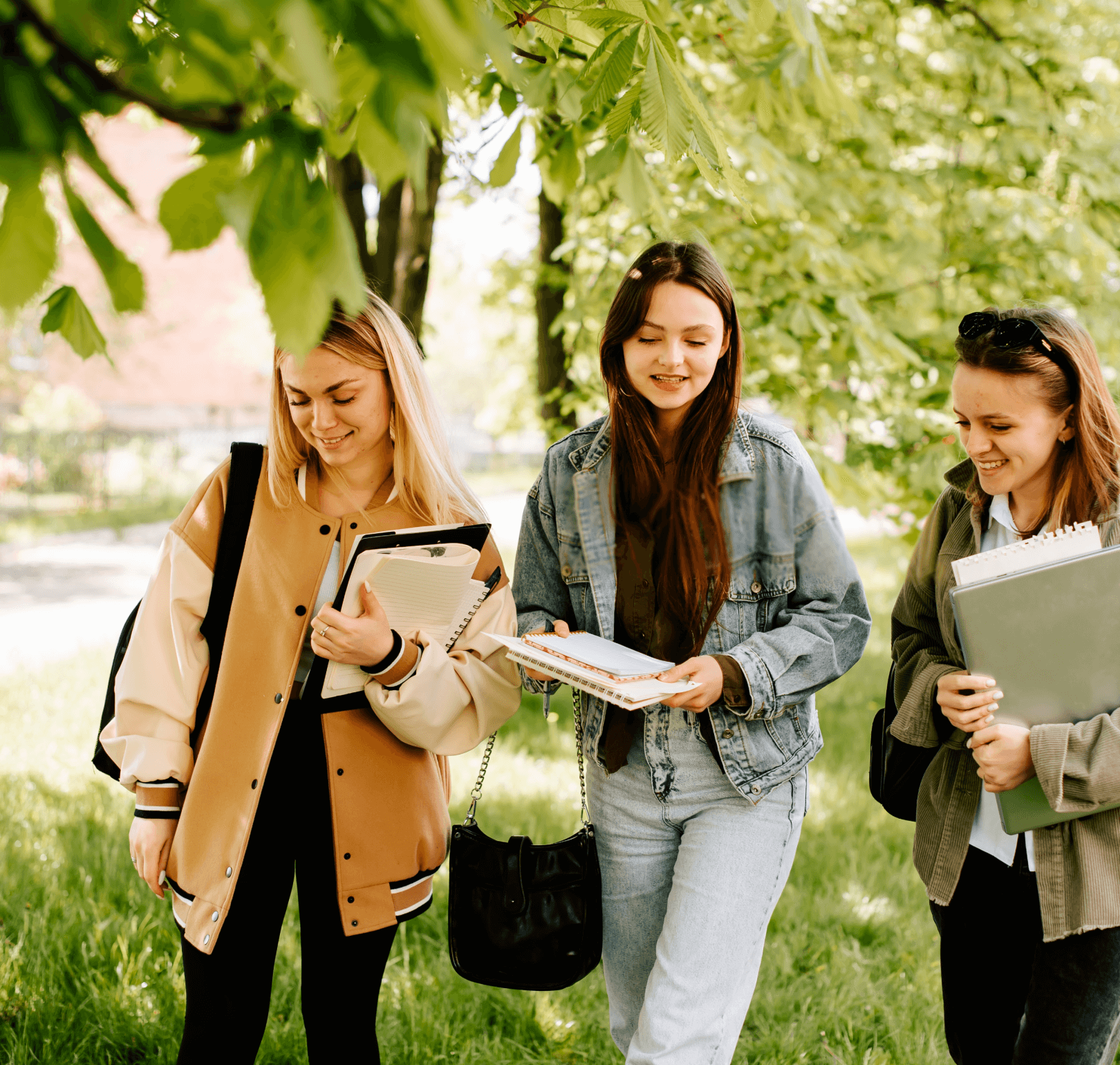 1st Year Program | Kingdom Domain College - kdcglobal.org