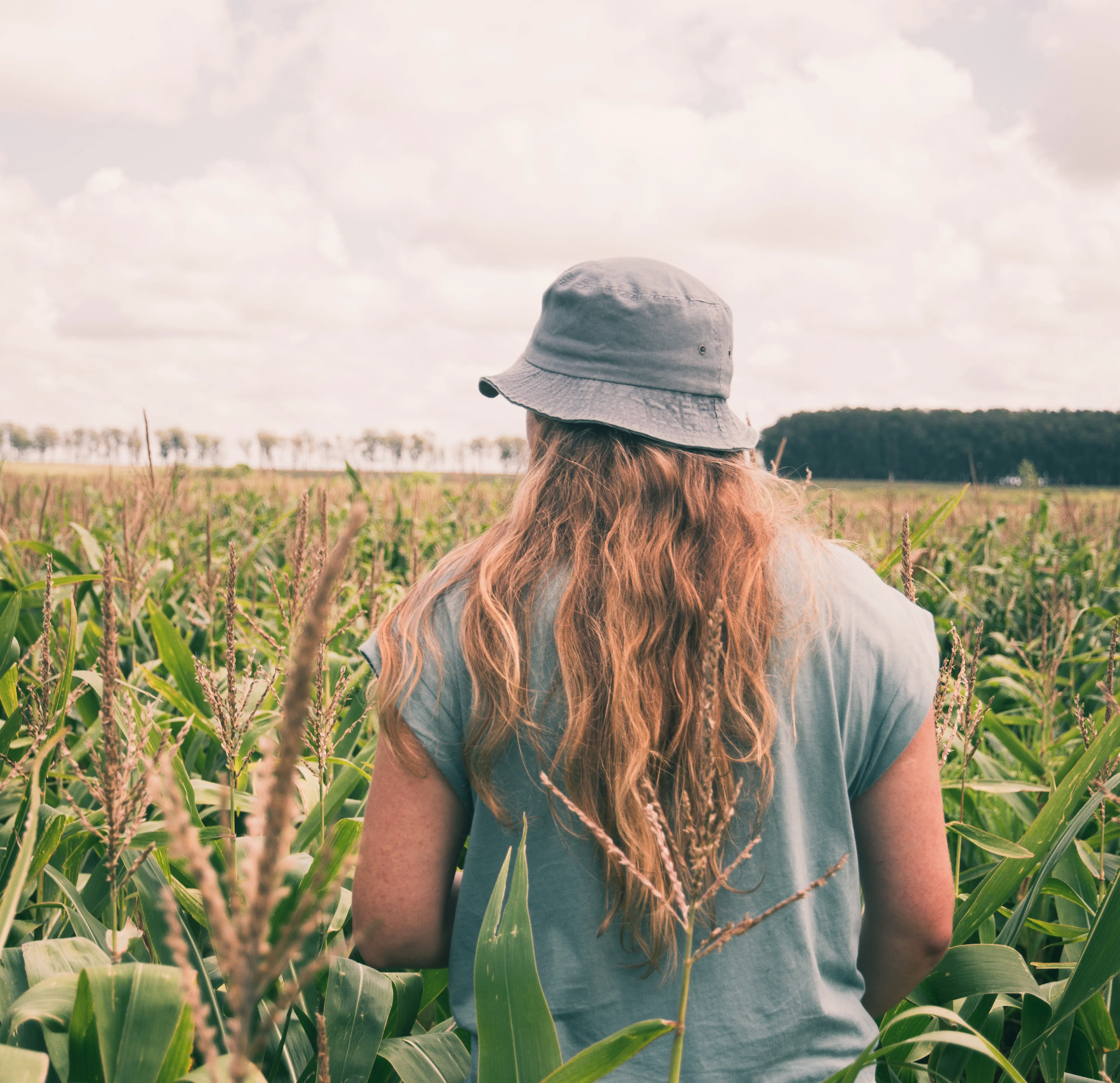 The Good Ground Natural Farm