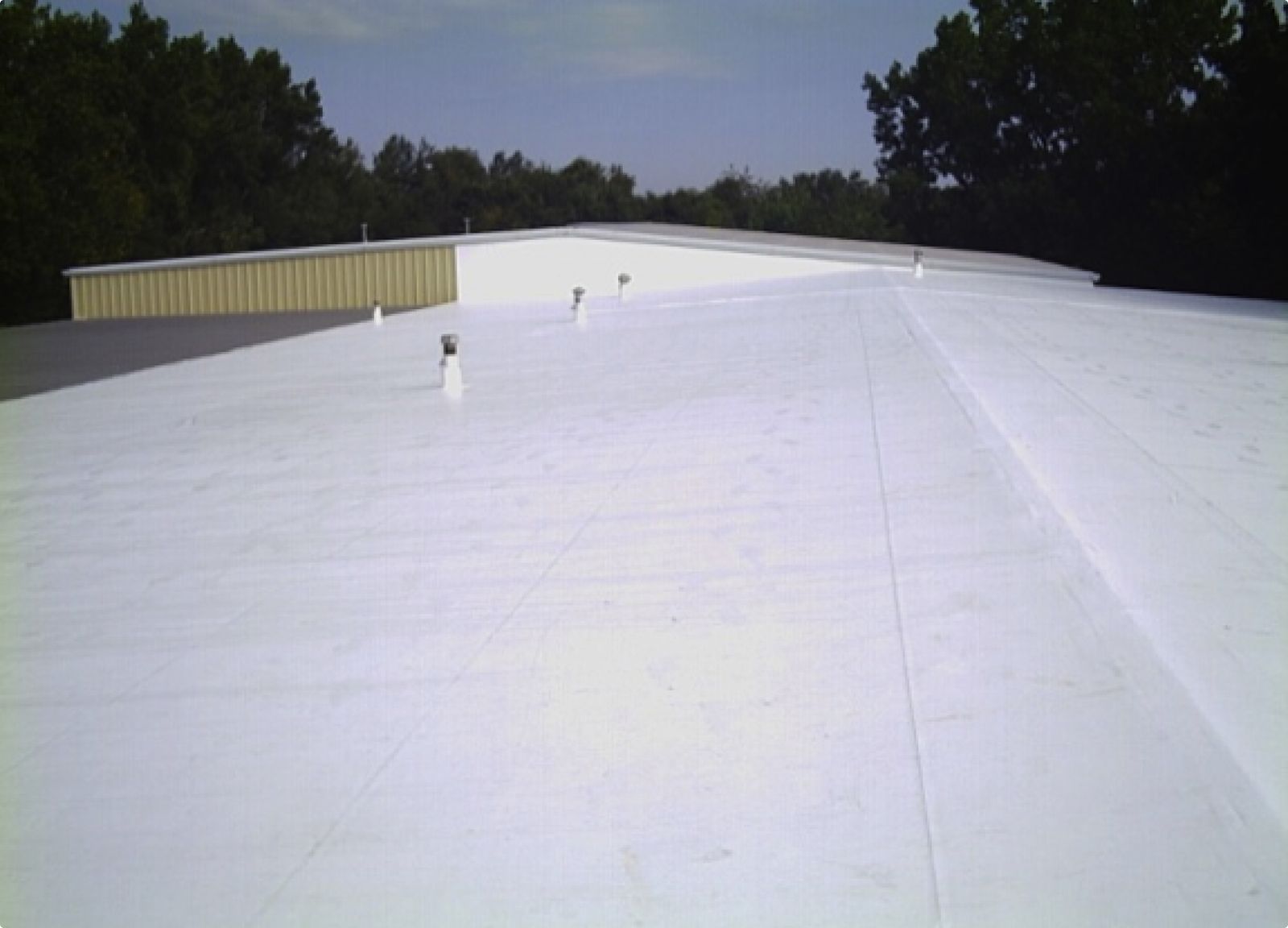 Waterproofing Types Sydney