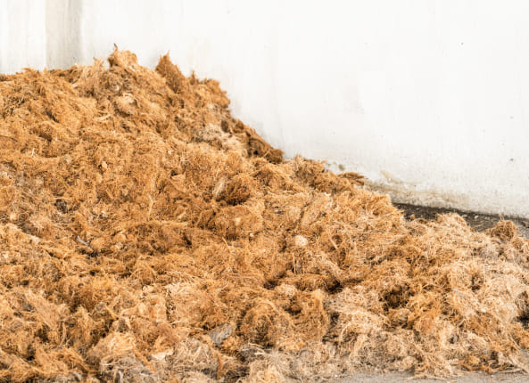 Largest Sustainability Initiative in Tequila | Komos Foundation