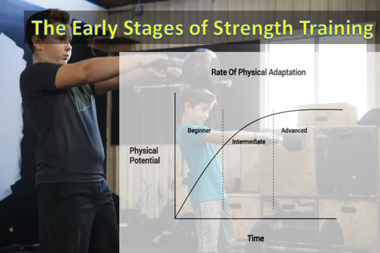 The Early Stages Of Strength Training As A Beginner