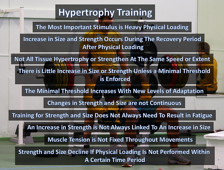 Hypertrophy Training