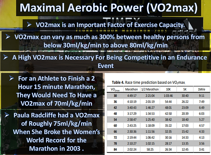 Is VO2Max a Key Measure of Cardiovascular Fitness?
