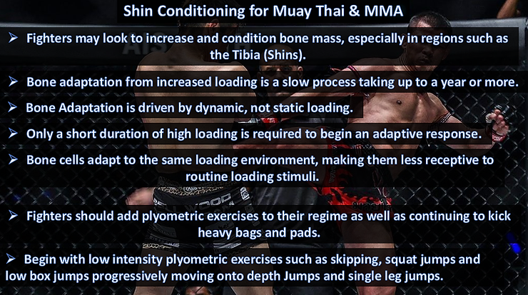Shin Conditioning for Muay Thai & MMA