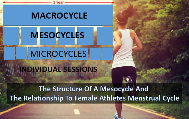The Structure of a Mesocycle and the Relationship to Female Athletes ...