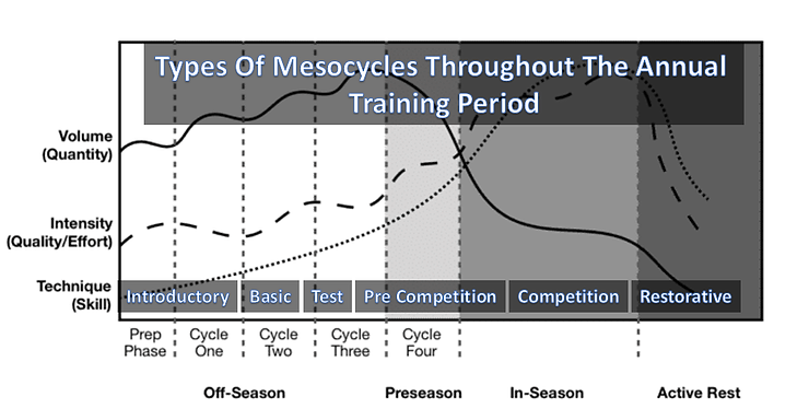 Types of Mesocycles Throughout the Annual Training Period (Macrocycle)