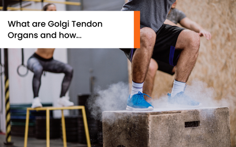 What is Crossed Pelvis Syndrome?