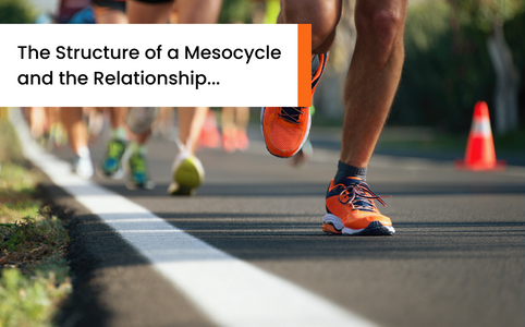 The Structure of a Mesocycle and the Relationship to Female Athletes ...
