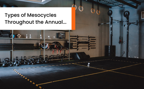 Types of Mesocycles Throughout the Annual Training Period (Macrocycle)