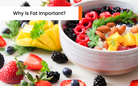 Why Is Fat Important?