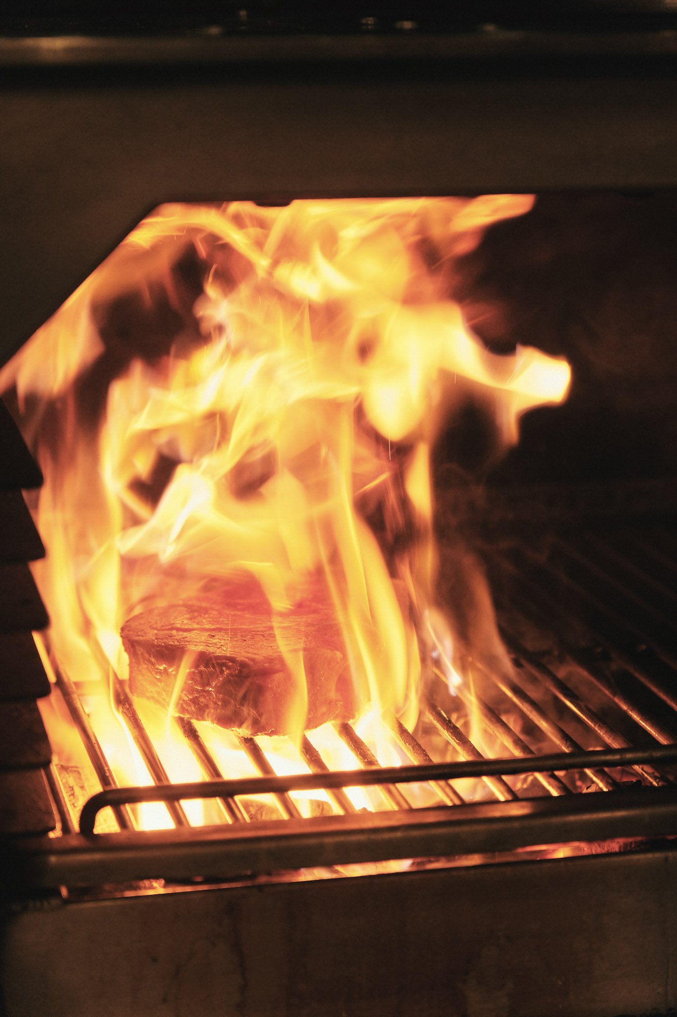 Wagyu Studio Photography | Sproos Creatives