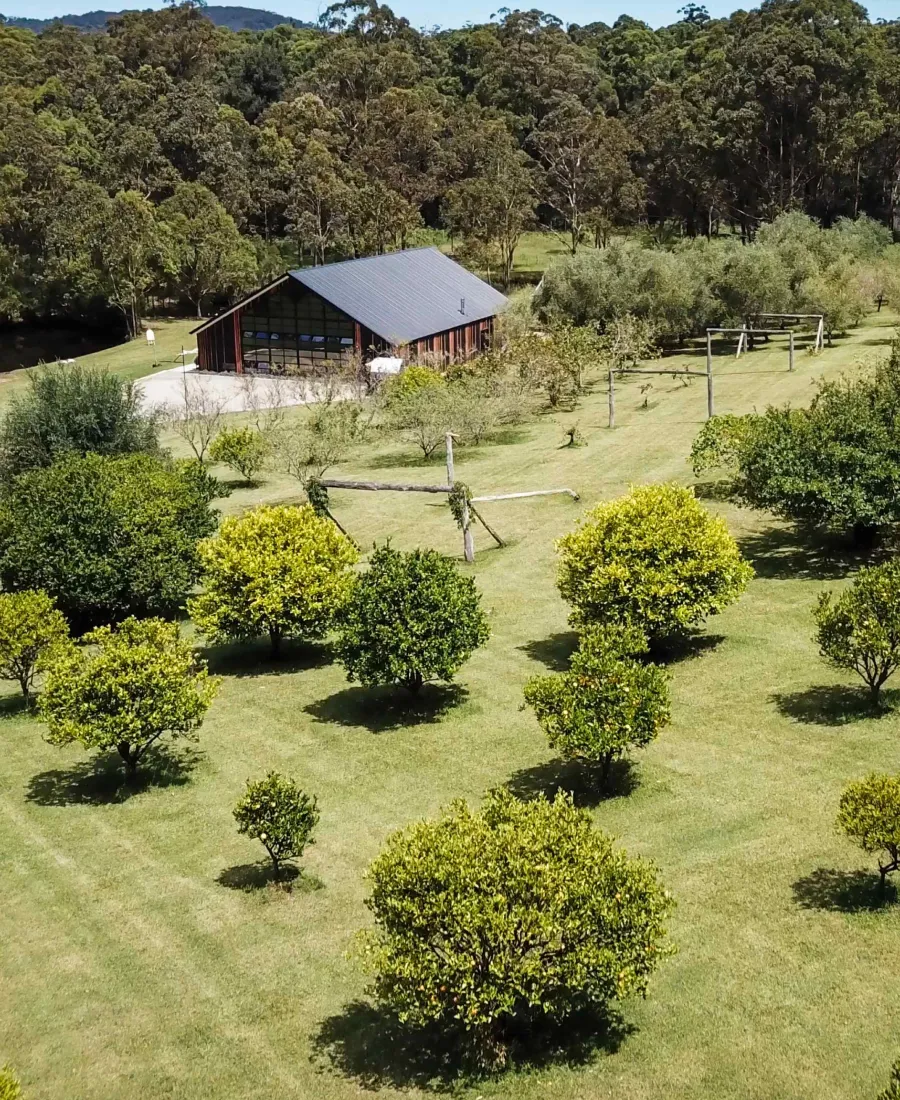 Home | Core Visuals | Sydney Wedding Videographer - Dean Wightman