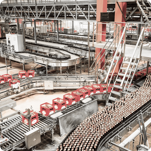 Boyle Brands - Launch. Scale. Thrive.