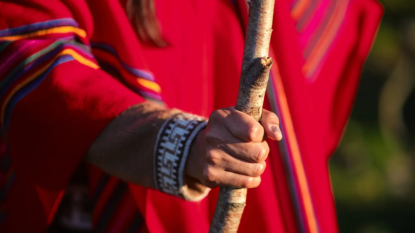 Indigenous Partnerships | Forestry For The Future