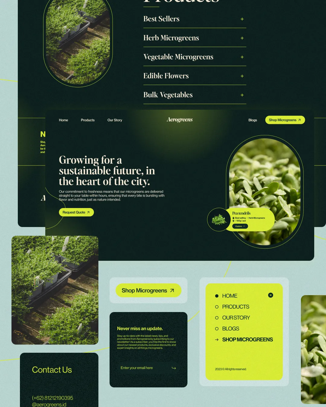 Monolith Studios - Supercharge Your Design Team