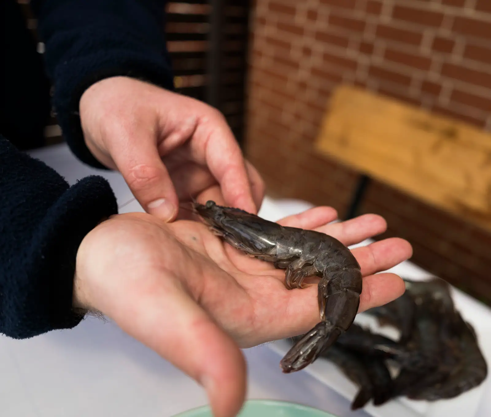 axvw.xyz — Aquapurna