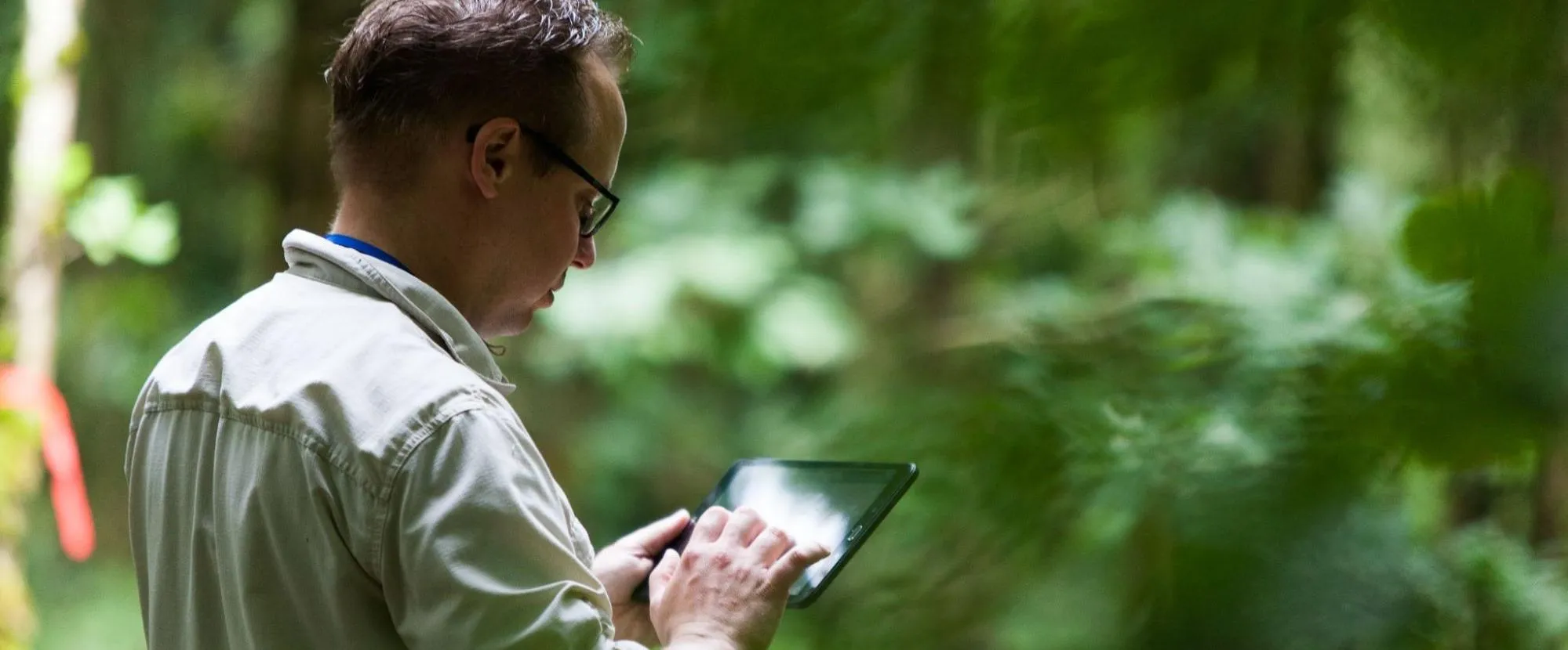 Cartografía forestal digital para mejorar la gestión forestal inteligente