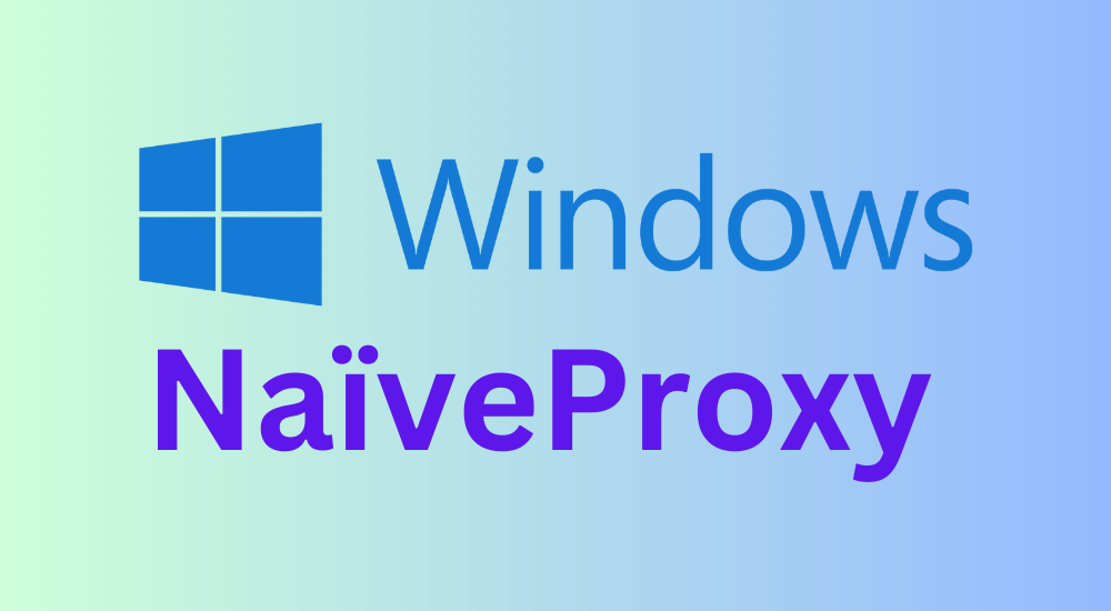 Vector Link - Windows NaiveProxy Manual Setup Guide
